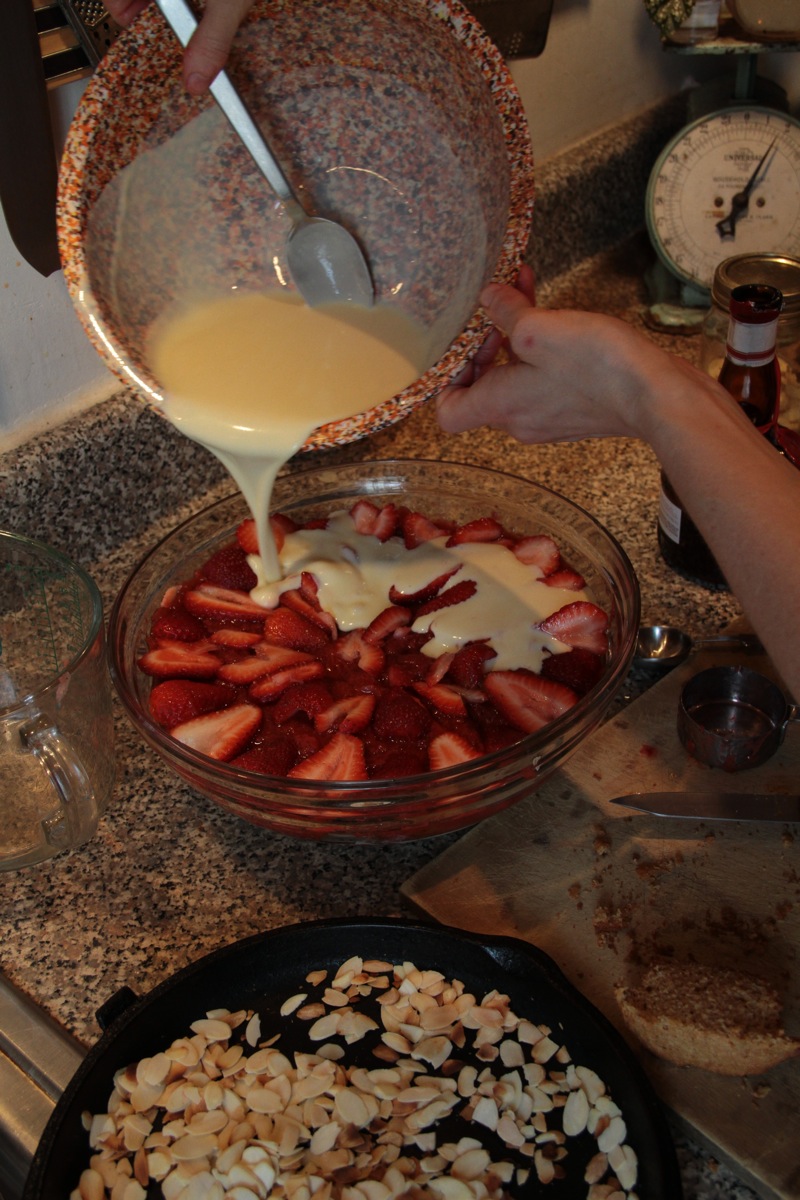 Strawberry Rhubarb Trifle (Gluten-Free) – Big Sis Little Dish