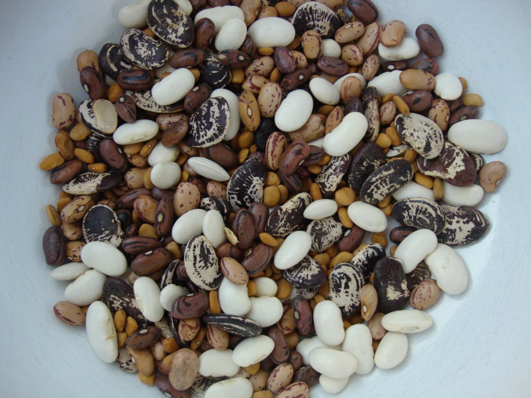 Beautiful Five Bean Stew – Big Sis Little Dish